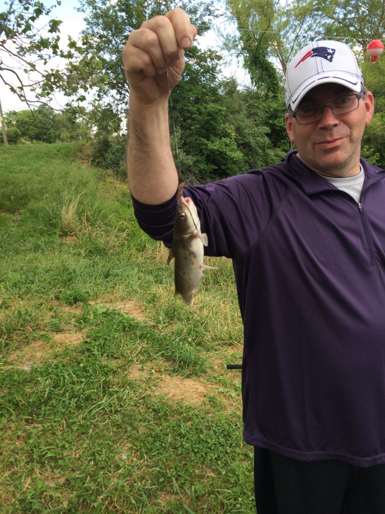 The Journey | beauty in between