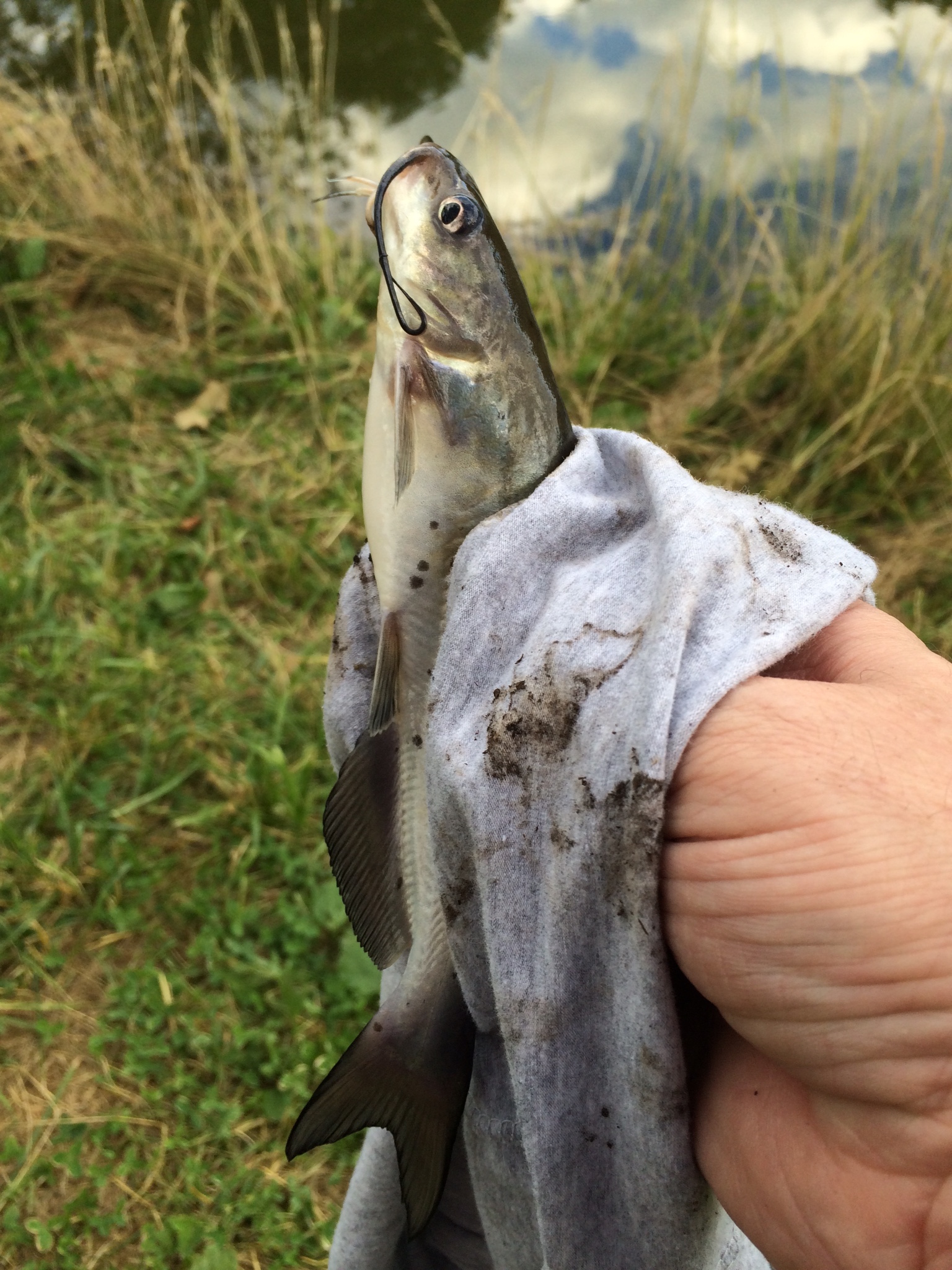 The Journey | beauty in between